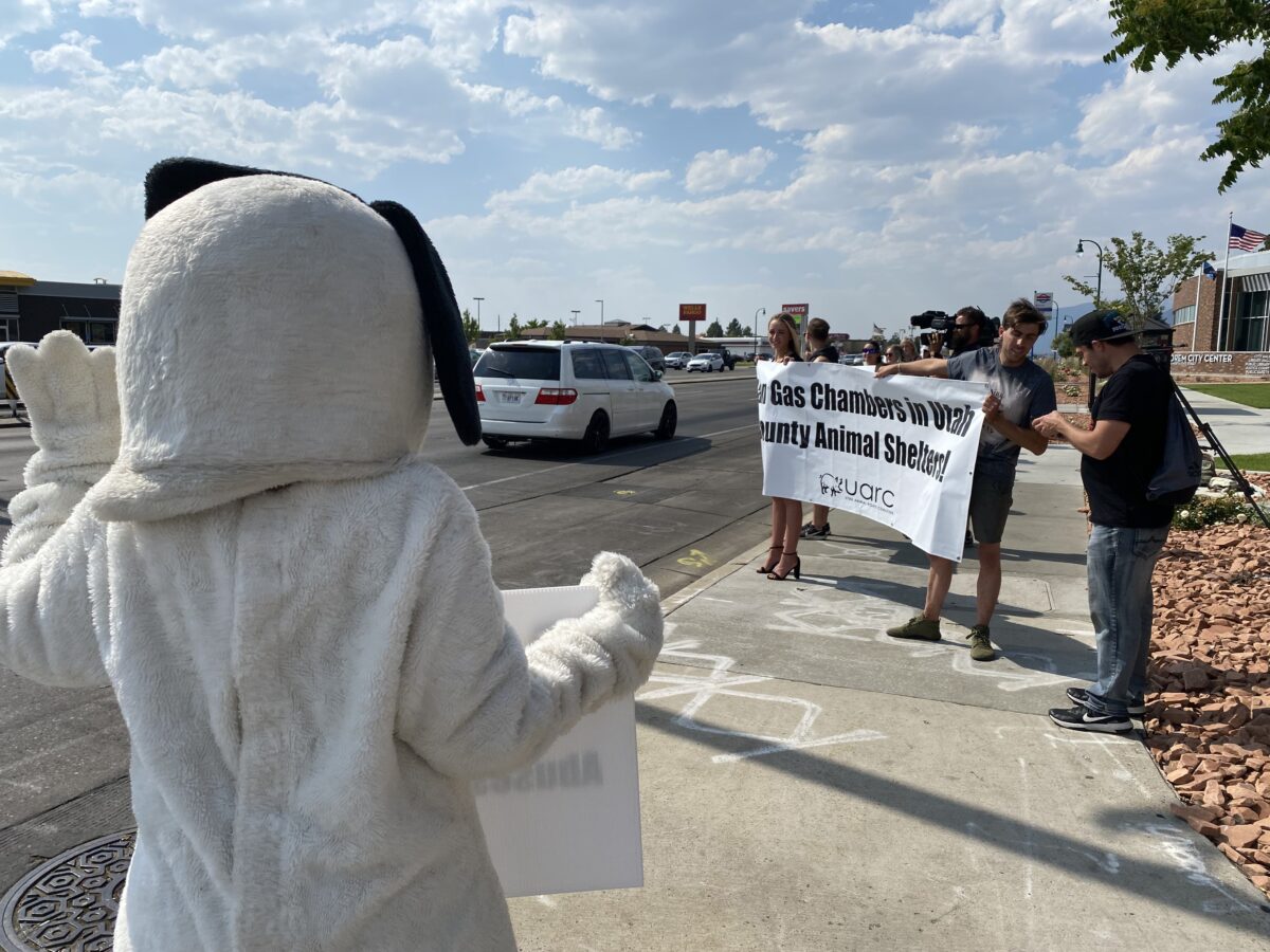 Animal rights activists protest North Utah Valley Animal Shelter | News ...